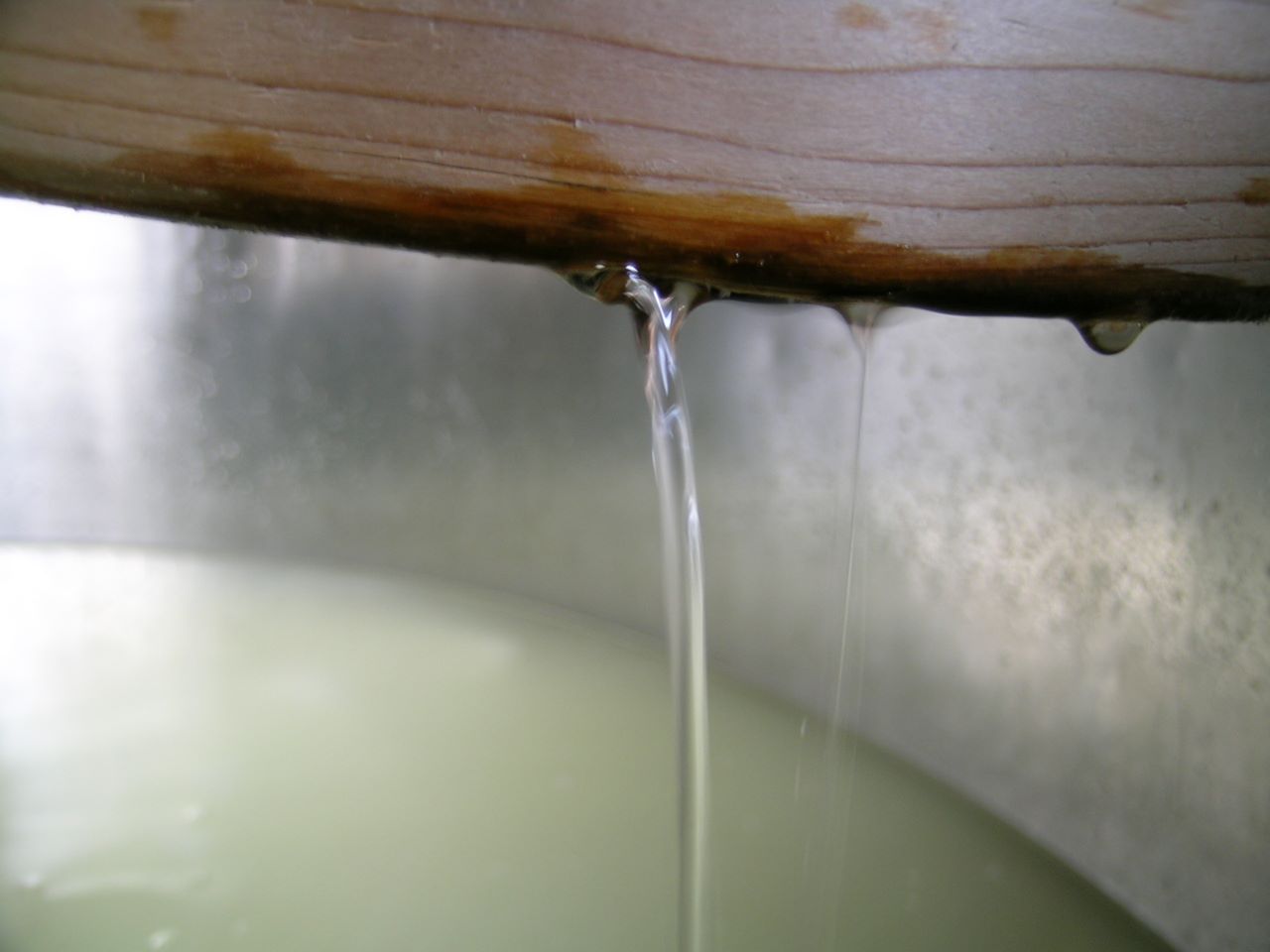 Sake nouveau, the freshest Sake only available in winter | SAKEMARU ...